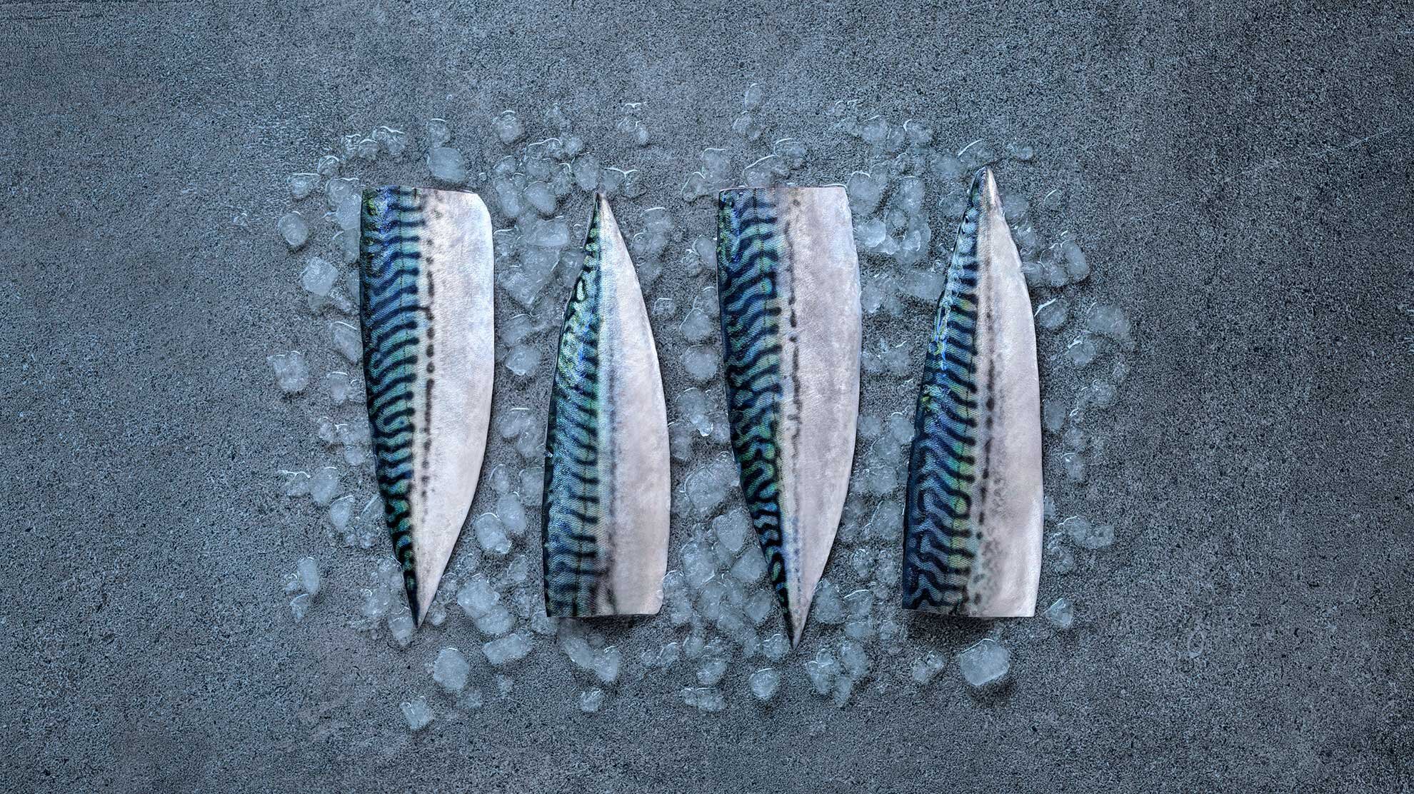 Six reasons to choose Norwegian mackerel | Norwegian Seafood Council
